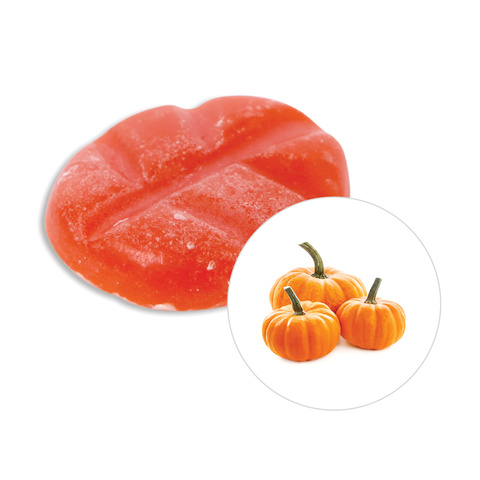 Scentchips Pumpkin - Like Sense