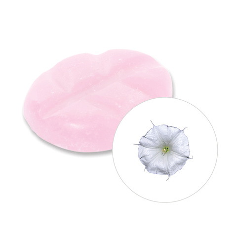 Scentchips Moon flower - Like Sense